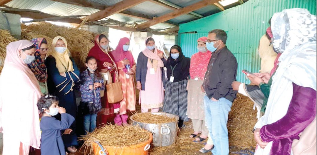 Vestaun: Sowing SEEDS of prosperity - Valley Observer Weekly Newspaper ...